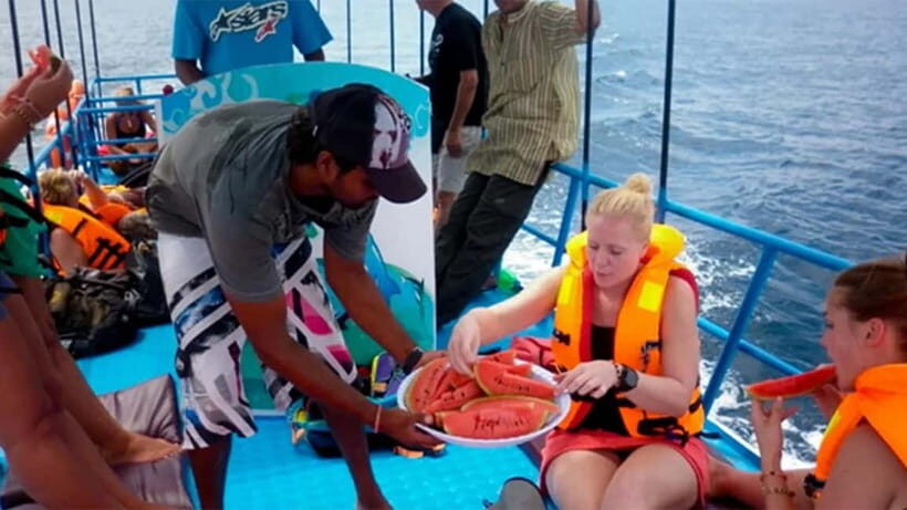 Hikkaduwa/Galle/Ahangama: Whale Watching Tour in Mirissa - The Value of the Experience