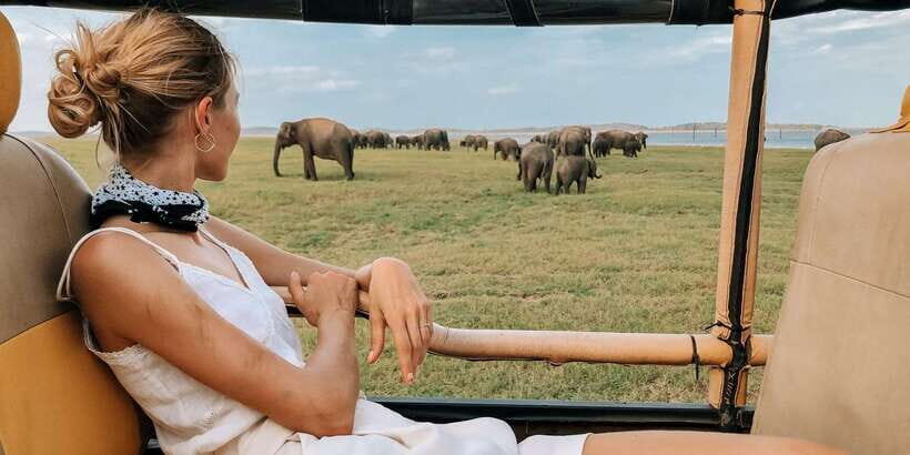 Hikkaduwa/Galle/Weligama/Mirissa/Tangalle: Yala Safari Tour - What Sets This Tour Apart?