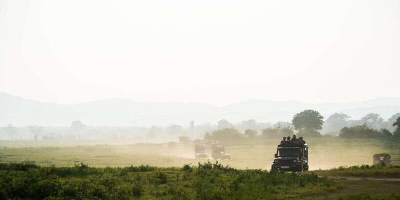 Hikkaduwa/Galle: Yala National Park Jeep Safari Day Tour - The Cost, Value, and Practicalities