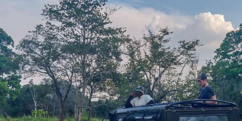 Hikkaduwa: Yala National Park Safari with Hotel Pickup - The Experience of a Safari in Yala