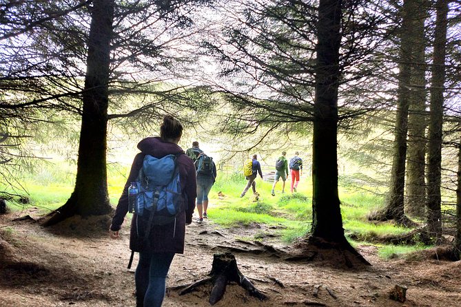 Hill & Nature Hike - Discover Real Edinburgh With a Local Expert - Traveler Feedback