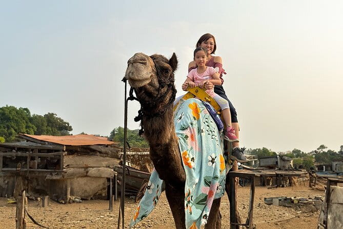 Hill-station & Heritage: Lonavala & Karla Caves Tour from Mumbai - FAQ