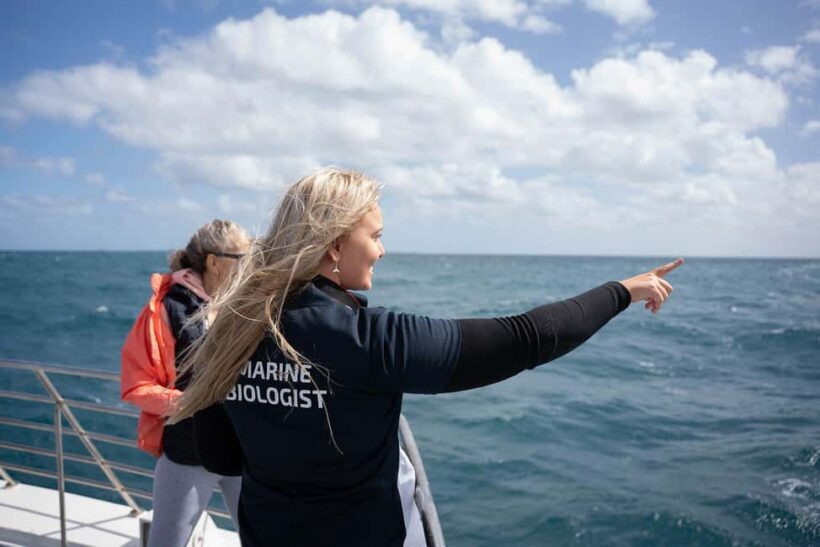 Hillarys Boat Harbour 2-Hour Whale Watching Cruise - 09:00am - Discover the Wonders of Humpback Whales with a 2-Hour Cruise from Hillarys Boat Harbour
