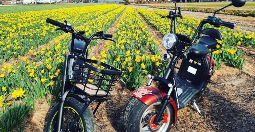 Hillegom: E-Scooter or E-Bike Rental in the Bulb Region - Key Points
