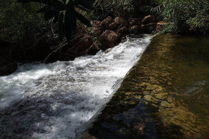 Hills & Thrills: 4 Hr Fonte da Benémola Electric Motorbike Tour - The Sum Up
