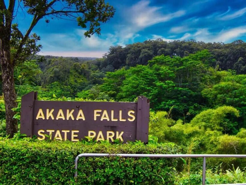 Hilo: Akaka Falls, Volcanoes, and Onomea Bay Guided Tour - A Practical Overview of the Tour