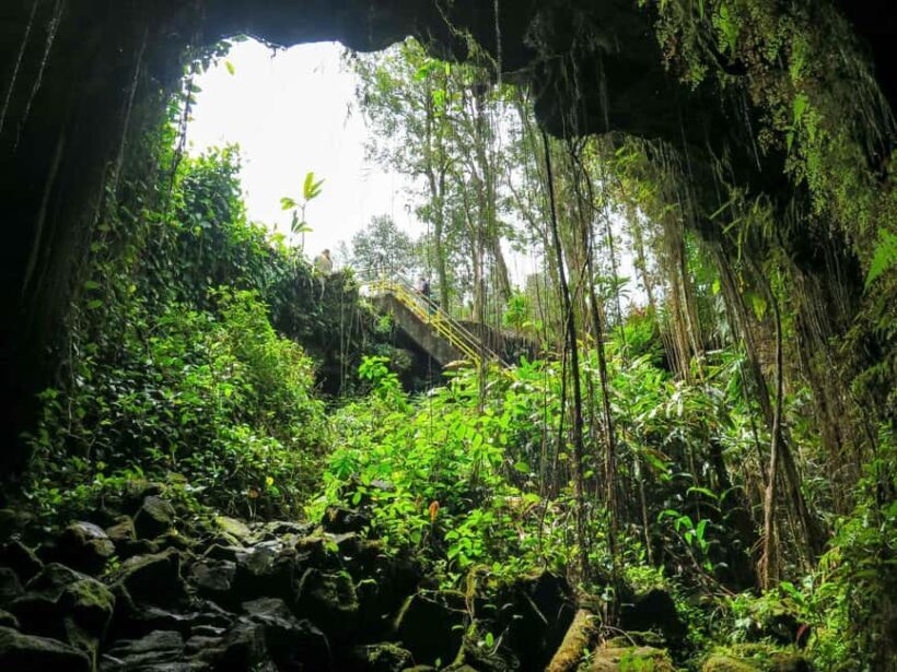 Hilo: Akaka Falls, Volcanoes, and Onomea Bay Guided Tour - Who Will Enjoy This Tour?