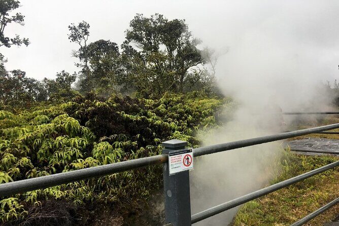 Hilo and Volcano National Park Tour a Cruise Ship Excursion w/PU - Final Thoughts