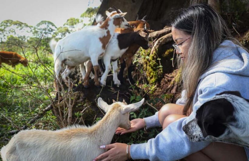 Hilo: Big Island Family Farm & Culture UTV Experience - Final Thoughts