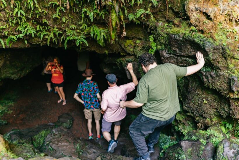 Hilo: Elite Volcano Hike - An Overview of the Tour Experience