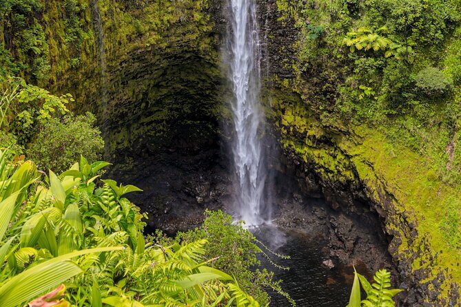 Hilo Excursion Volcanoes Akaka Falls And Black Sand Beach - What Travelers Say