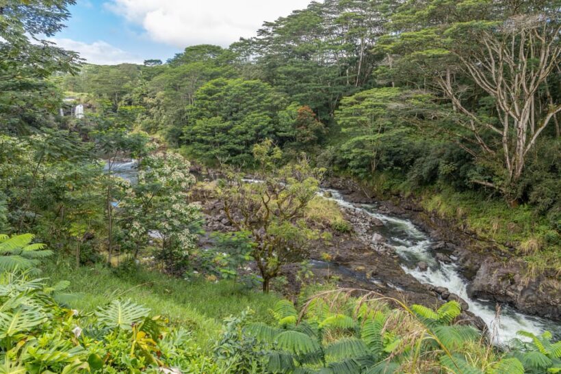 Hilo: Gardens, Waterfalls & Farmers Market Shore Excursion - A Closer Look at the Itinerary and Experience