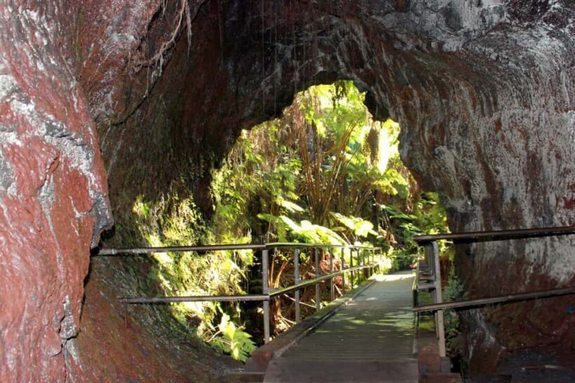 Hilo: Hawaii Volcanoes National Park and Hilo Highlights - A Deep Dive into the Experience