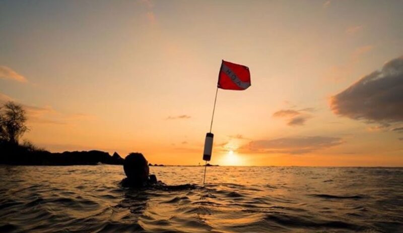 Hilo: Night Dive for Certified Divers - Hilo: Night Dive for Certified Divers — A Deep Look at Hawaii’s Nocturnal Ocean Life