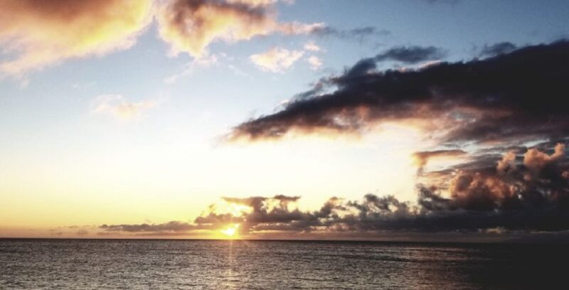 Hilo: Night Dive for Certified Divers - What Makes This Tour Special?