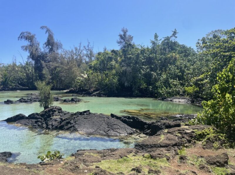 Hilo: Sea Turtle Lagoon and Black Sand Beach Snorkel - What About the Downside?