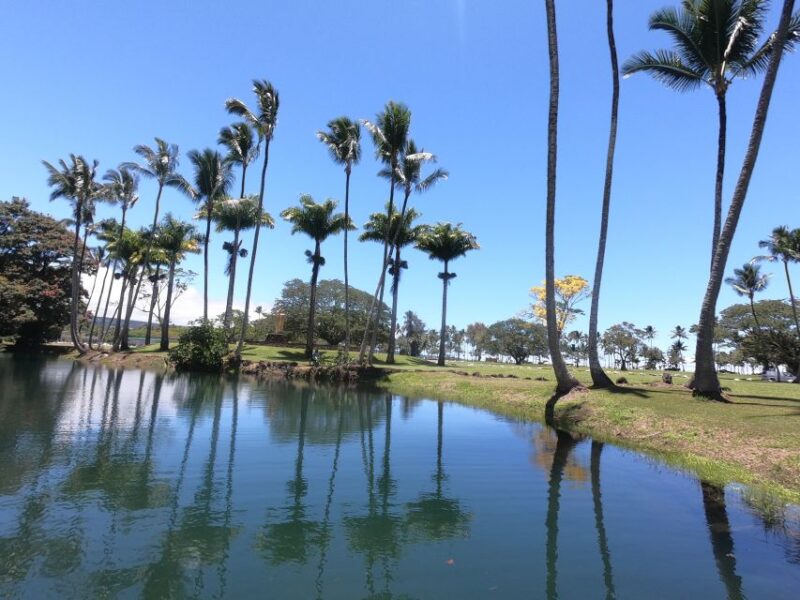 Hilo: Wailoa River to King Kamehameha Guided Kayaking Tour - Practical Details and Cost-Value Analysis