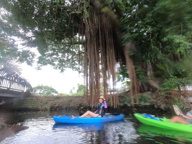 Hilo: Wailoa River to King Kamehameha Guided Kayaking Tour - The Sum Up