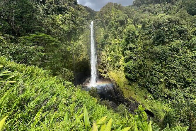 Hilo Waterfall Hike and Swim with Native Hawaiian - Why This Tour is Worth Considering