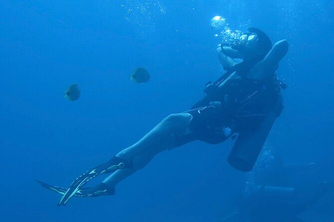 Hilo's Remote Tropical Reef 2 Tank Boat Dive - FAQ