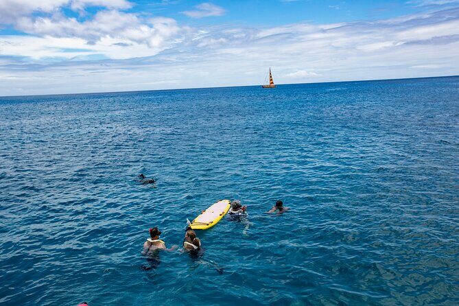 Hilton Hawaiian Village Turtle Snorkel with Optional Lunch - The Optional Lunch & Onboard Amenities