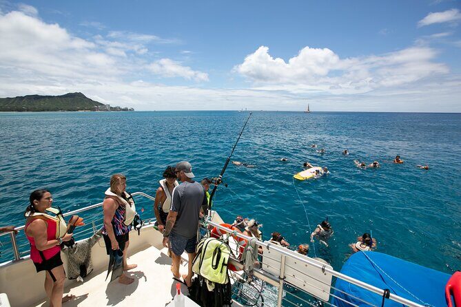 Hilton Hawaiian Village Turtle Snorkel with Optional Lunch - Practical Details & Tips