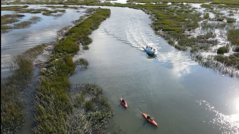 Hilton Head: 2 Hour Private Dolphin Tour - Final Thoughts: Is It Worth It?