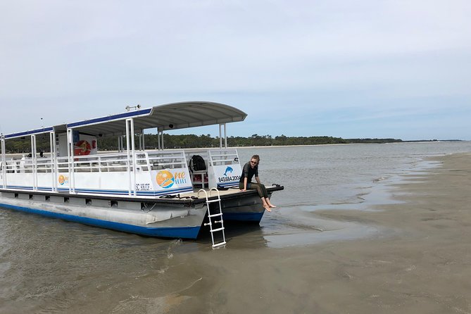 Hilton Head Dolphin Tour With Stop at Disappearing Island - Opportunities for Wildlife Viewing