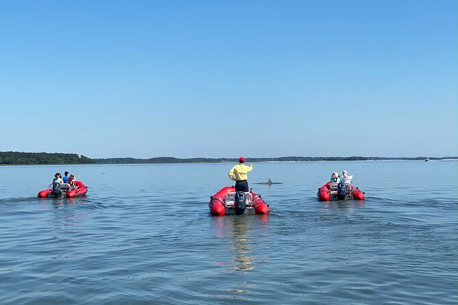 Hilton Head Guided Dolphin Watching & Sightseeing Tour via Mini Boat - Safety and Accessibility Considerations