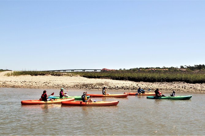 Hilton Head Guided Kayak Eco Tour - Practical Details: Booking, Group Size, and Cancellation Policy