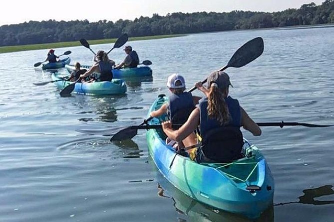Hilton Head Guided Kayak Tour - Physical Requirements and Accessibility
