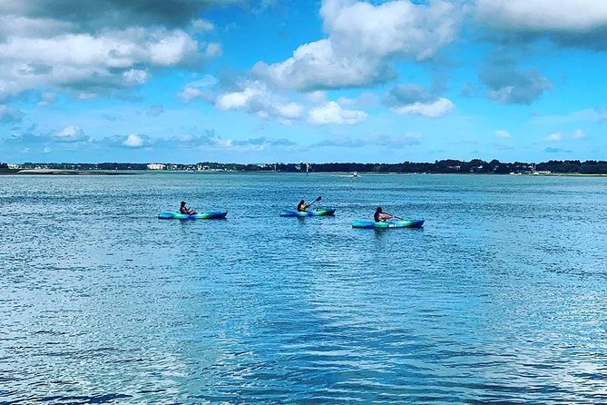 Hilton Head Guided Kayak Tour - Traveler Reviews and Feedback