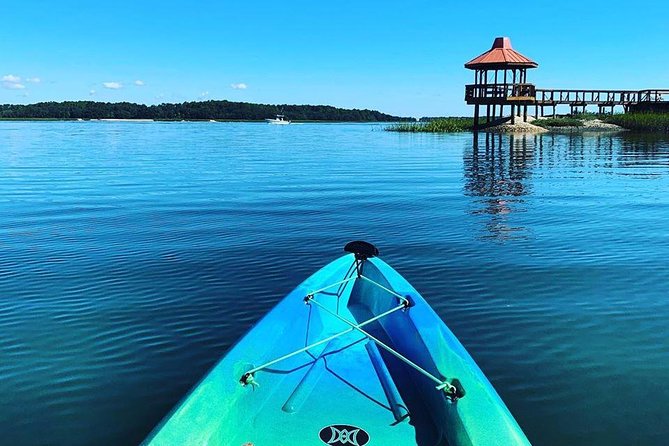 Hilton Head Guided Kayak Tour - Wildlife Sightings and Ecological Insights