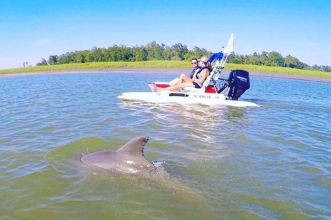 Hilton Head Guided Sunset Creek Cat Tour - The Sum Up: Who Is This Tour Best For?