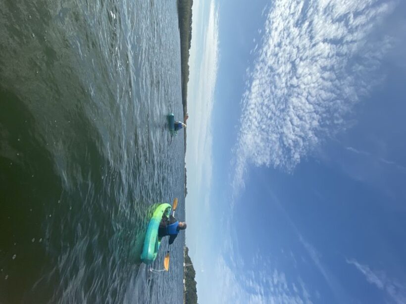 Hilton Head Island: 1.5-Hour Guided Small-Group Kayak Tour - Who Will Enjoy This Tour?