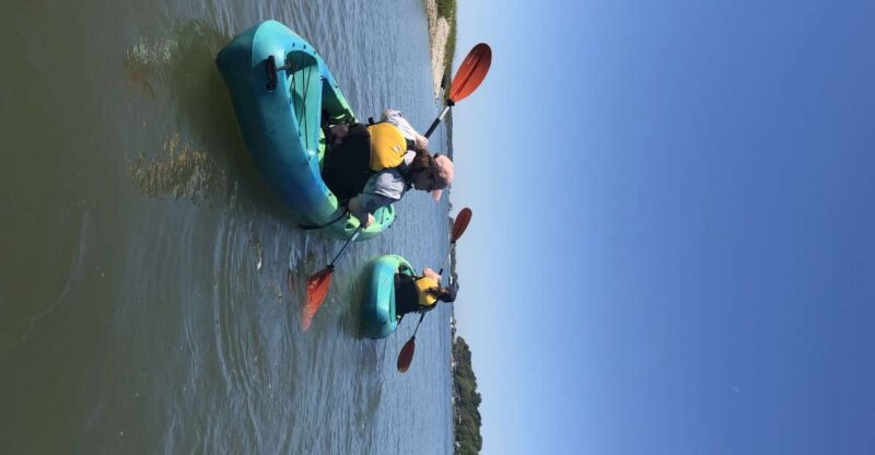 Hilton Head Island: 1.5-Hour Guided Small-Group Kayak Tour - The Experience for Different Travelers
