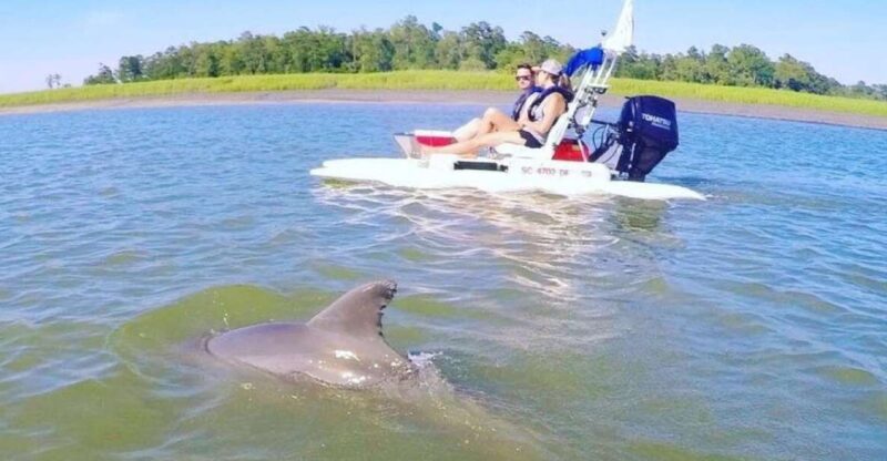 Hilton Head Island: 2-Hour Guided Creek Cat Tour - Exploring Hilton Head with a Creek Cat: An Authentic Water Adventure