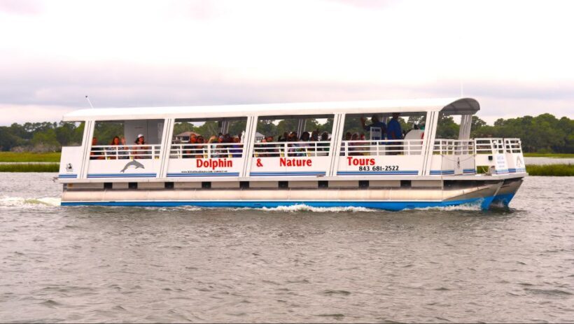 Hilton Head Island: 90-Minute Dolphin & Nature Tour - What to Expect from the Hilton Head Dolphin & Nature Tour