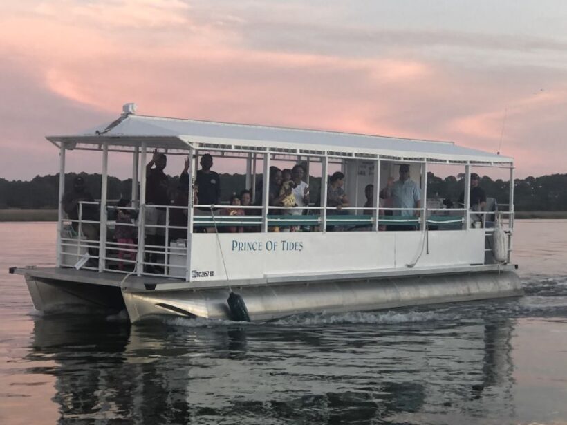 Hilton Head Island: 90-Minute Dolphin & Nature Tour - Final Thoughts: Who Should Take This Tour?