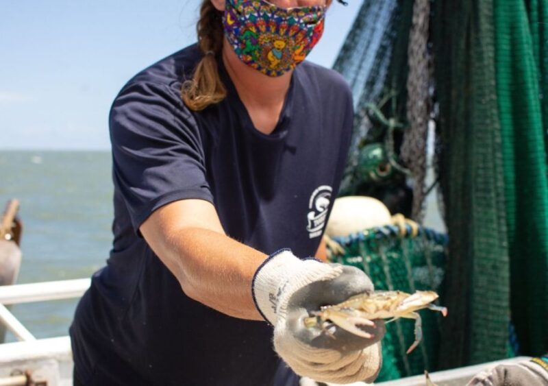 Hilton Head Island: Crabbing Expedition Boat Tour - Key Points