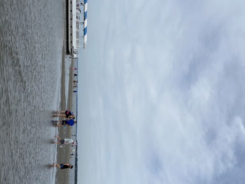 Hilton Head Island: Disappearing Island and Dolphin Tour - Who Will Love This Tour?