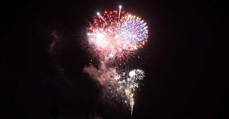 Hilton Head Island: Dolphin Tour at Sunset & Fireworks Show - The Experience: What You’ll Feel and See