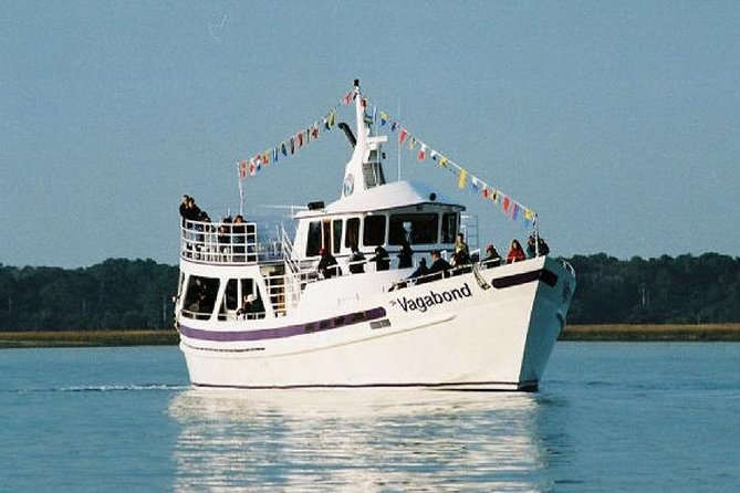 Hilton Head Island Dolphin Watching Nature Cruise - Onboard Amenities and Comfort