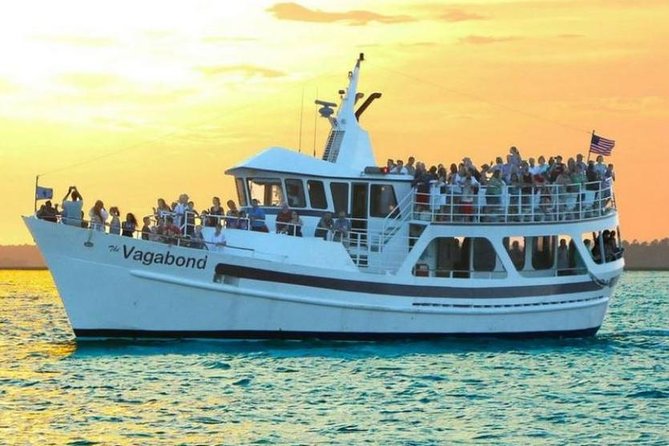 Hilton Head Island Dolphin Watching Nature Cruise - Customer Feedback and Highlights
