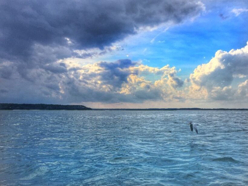 Hilton Head Island: Jet Ski Tour - Frequently Asked Questions
