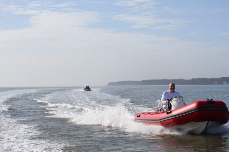 Hilton Head Island: Mini Boat Dolphin Tour - Practical Aspects and Value