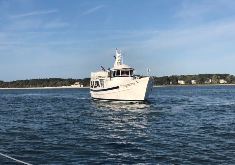 Hilton Head Island: Ocean Dolphin Cruise - Key Points