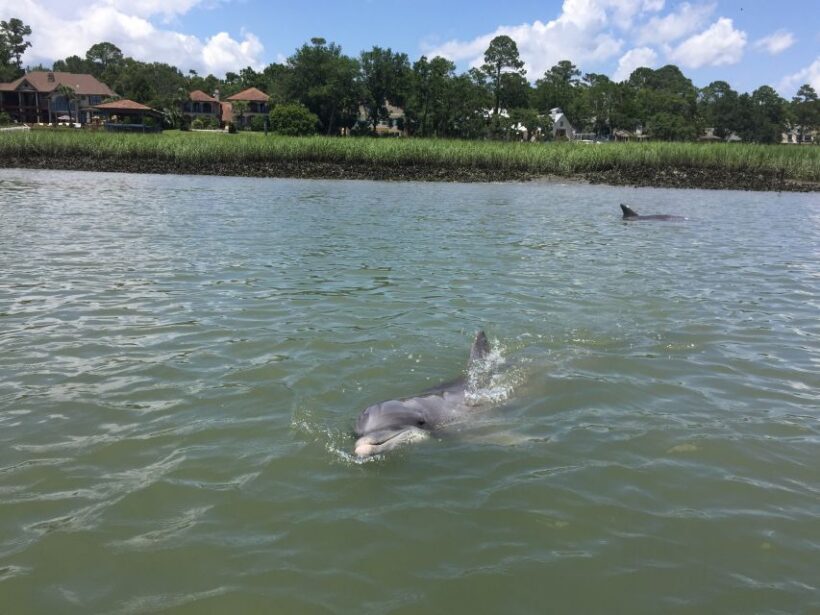 Hilton Head Island: Pontoon Boat Rental - Introduction