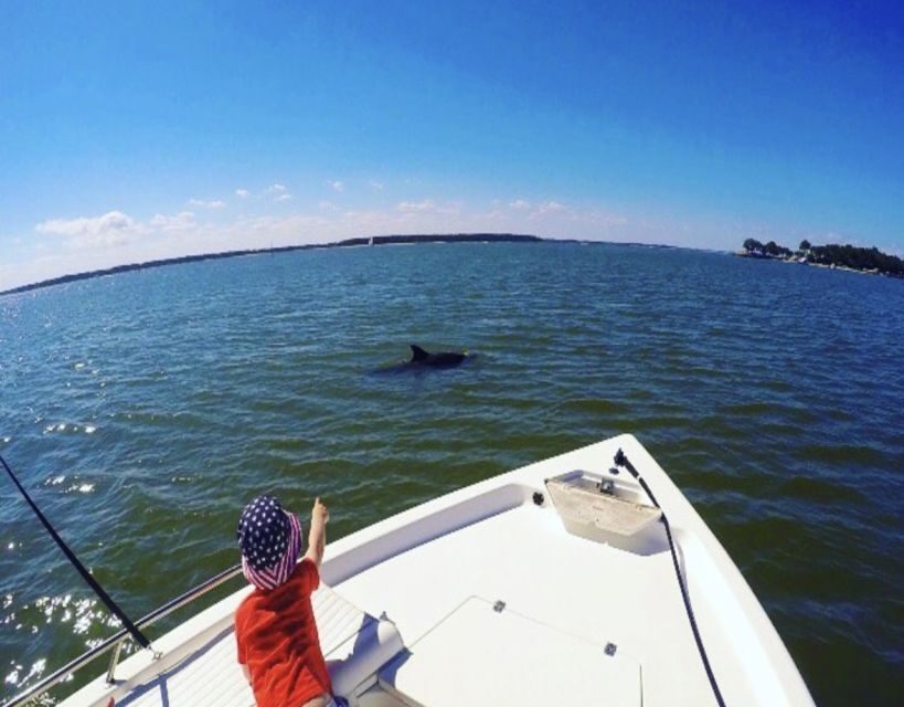 Hilton Head Island: Private Dolphin Watching Boat Tour - Authentic Experiences Highlighted in Reviews