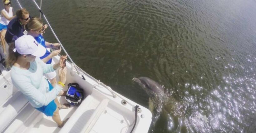 Hilton Head Island: Private Dolphin Watching Boat Tour - Who Should Consider This Tour?